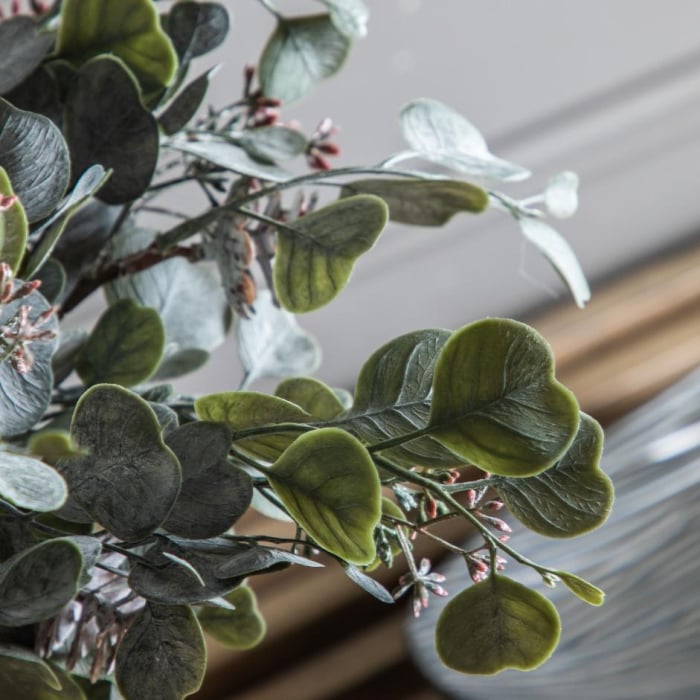 seeded eucalyptus uk